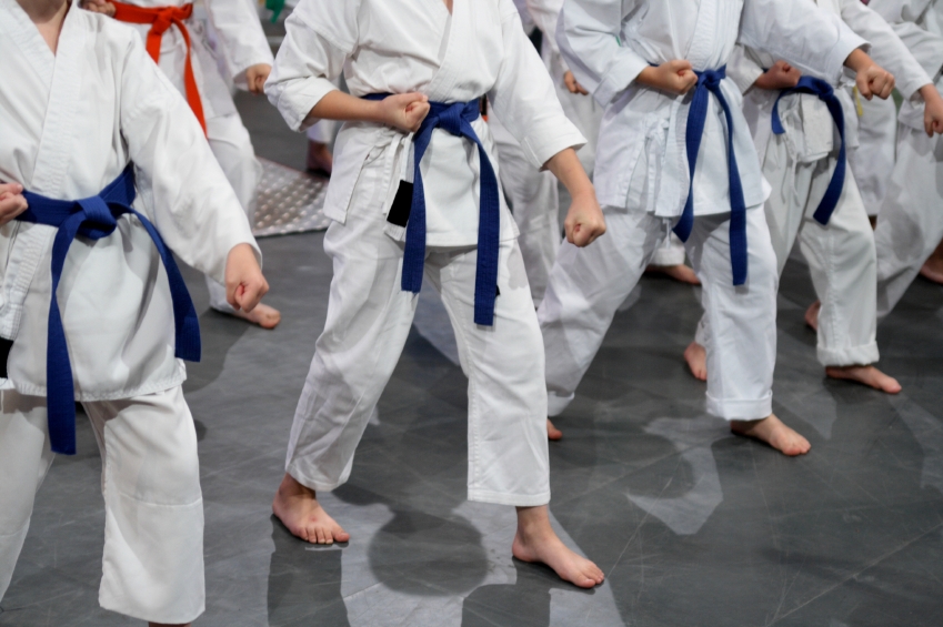 Understanding the Meaning of Karate Belt Colors - NY Martial Arts Academy